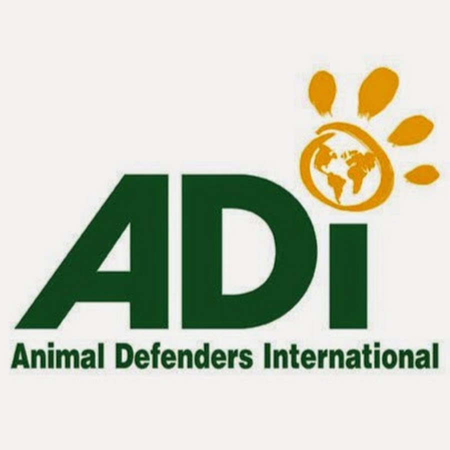 Animal Defenders International - YouTube