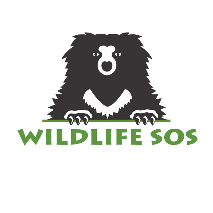 Wildlife SOS - YouTube