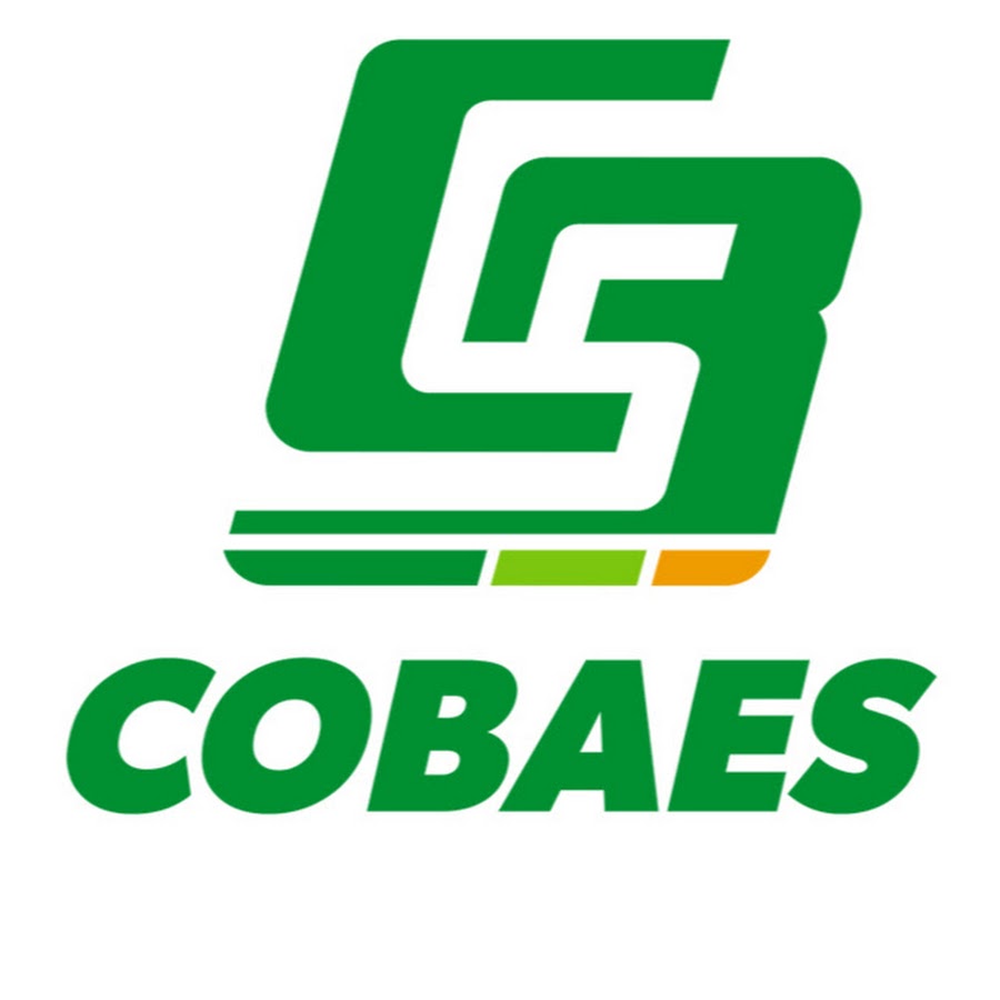 COBAES Sinaloa - YouTube