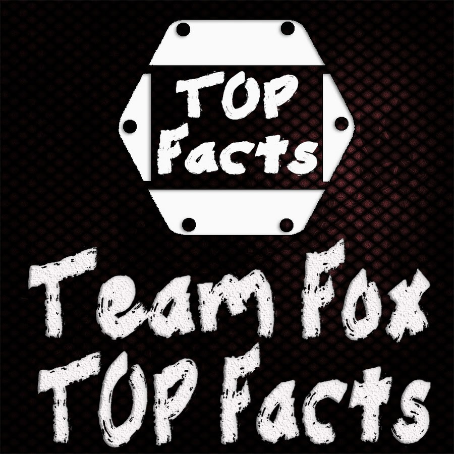 Team Fox | TOP Facts - YouTube