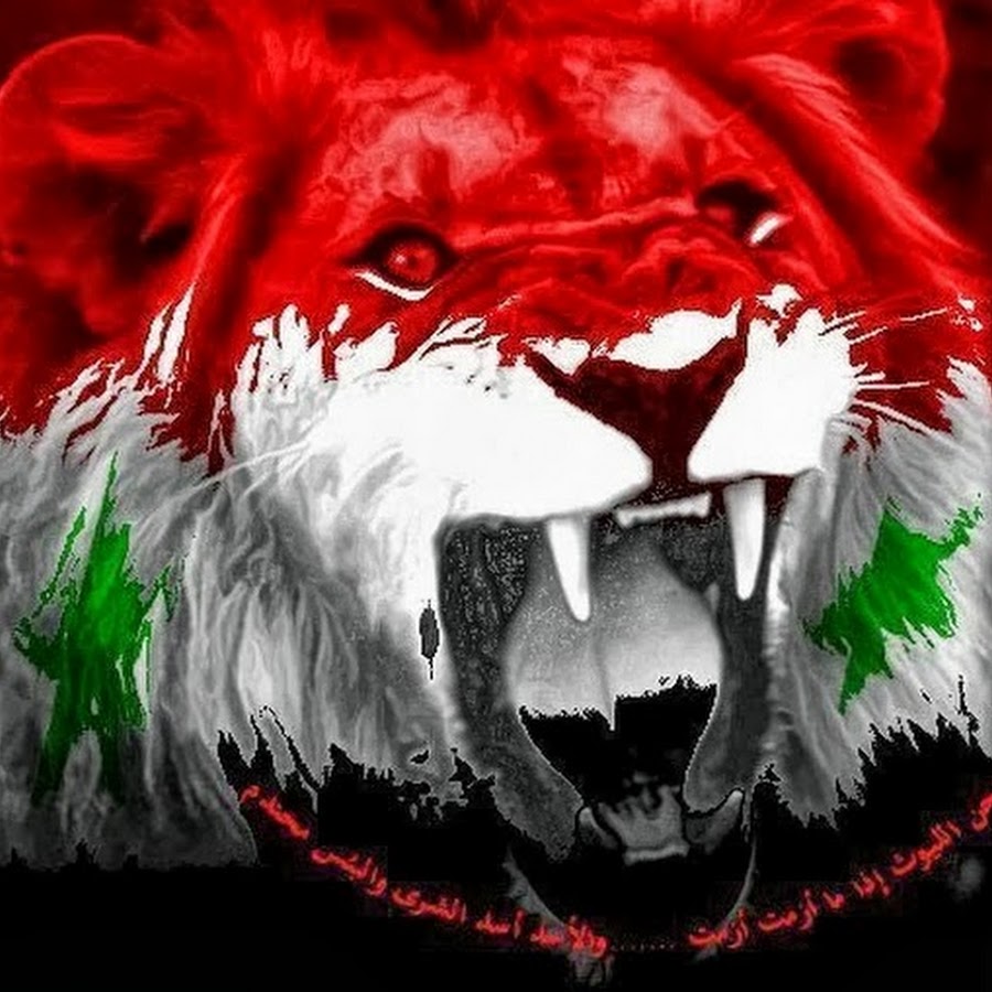 Syrian Lion - YouTube