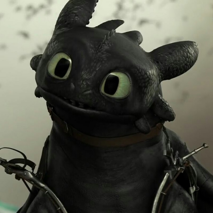 Toothless The Dragon - YouTube