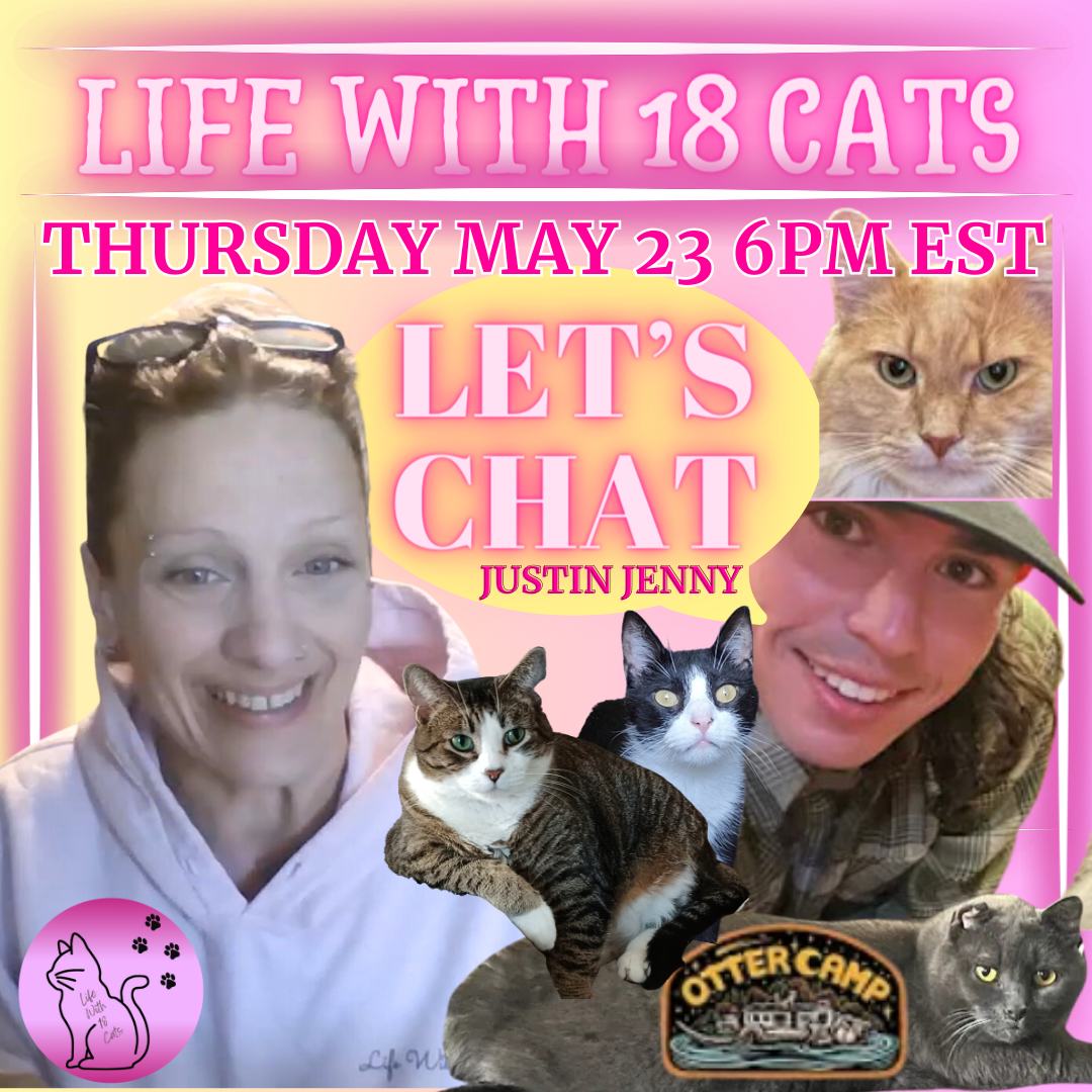 Post from Life With 18 Cats...Unedited