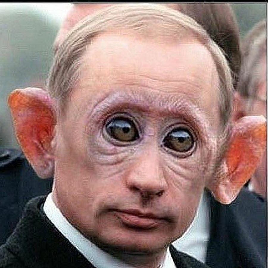 pavlik narkoman - YouTube