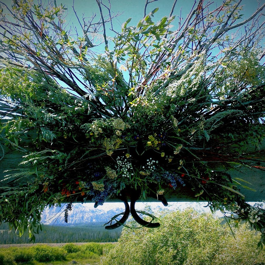 Cecily Fay - YouTube