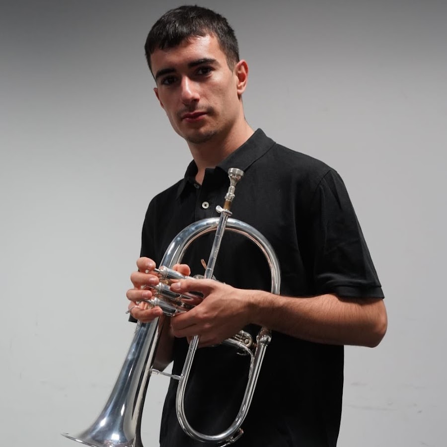 pays basque: E viva España ! Xabi Gabiola. - LE PETIT PLACIDE