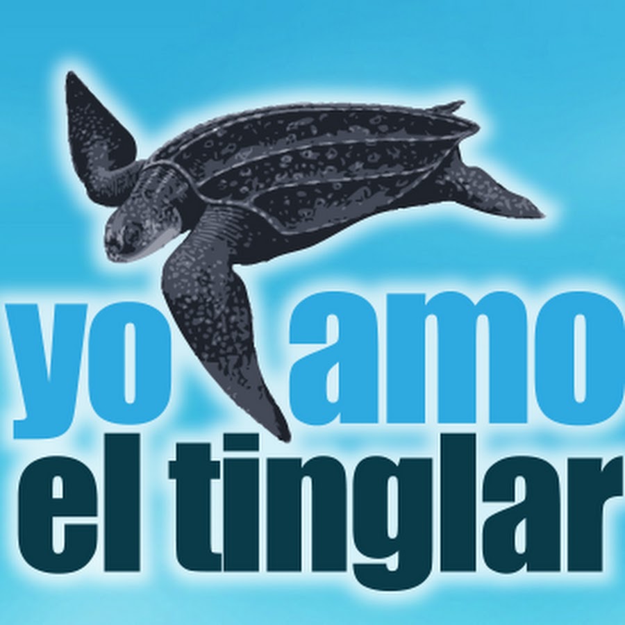 Yo Amo El Tinglar Puerto Rico - YouTube