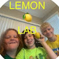 Quiz from LemonLab