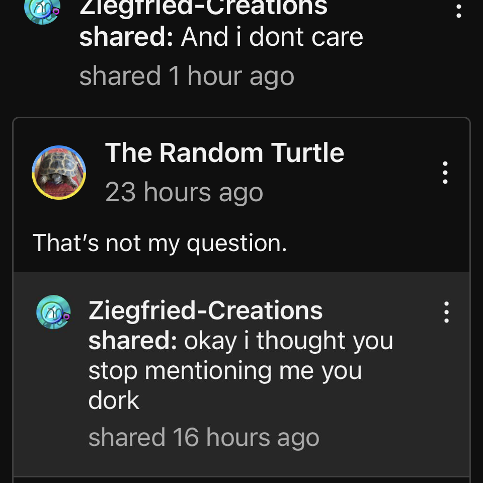 Post from The Random Turtle