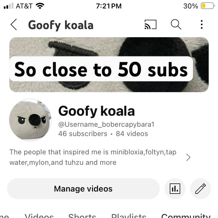 Post from Goofy koala