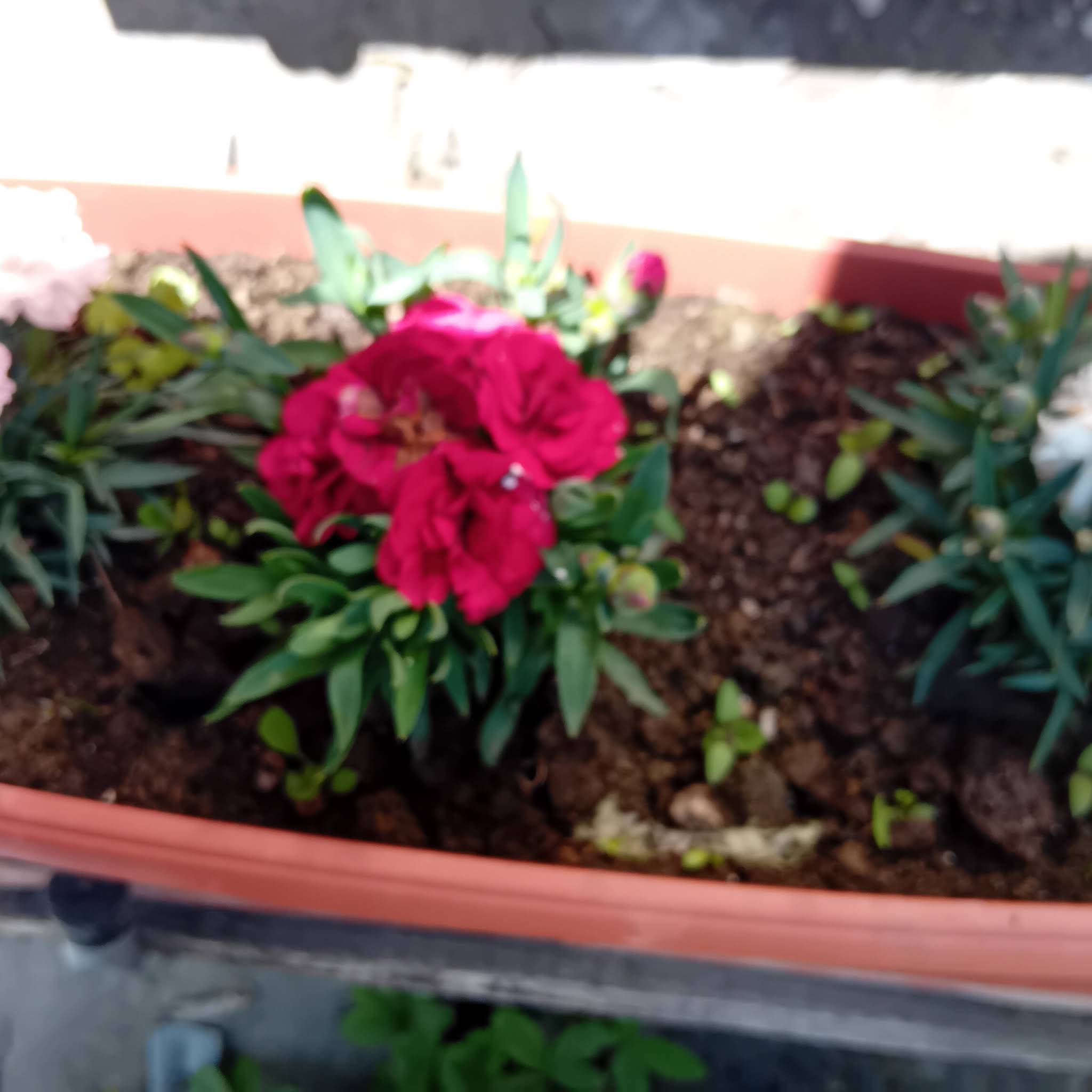 Post from ChillVibe