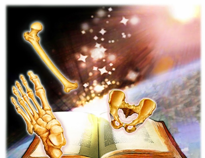 Ortopedia y Traumatología Pediátrica: Tibial Bowing in Children