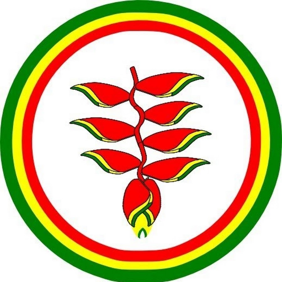 PATUJÚ BOLIVIANOS EN SIENA - YouTube