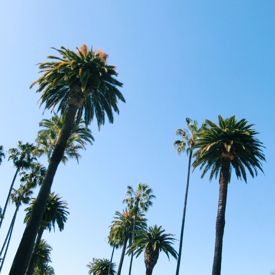 Jeremiah Flores - YouTube