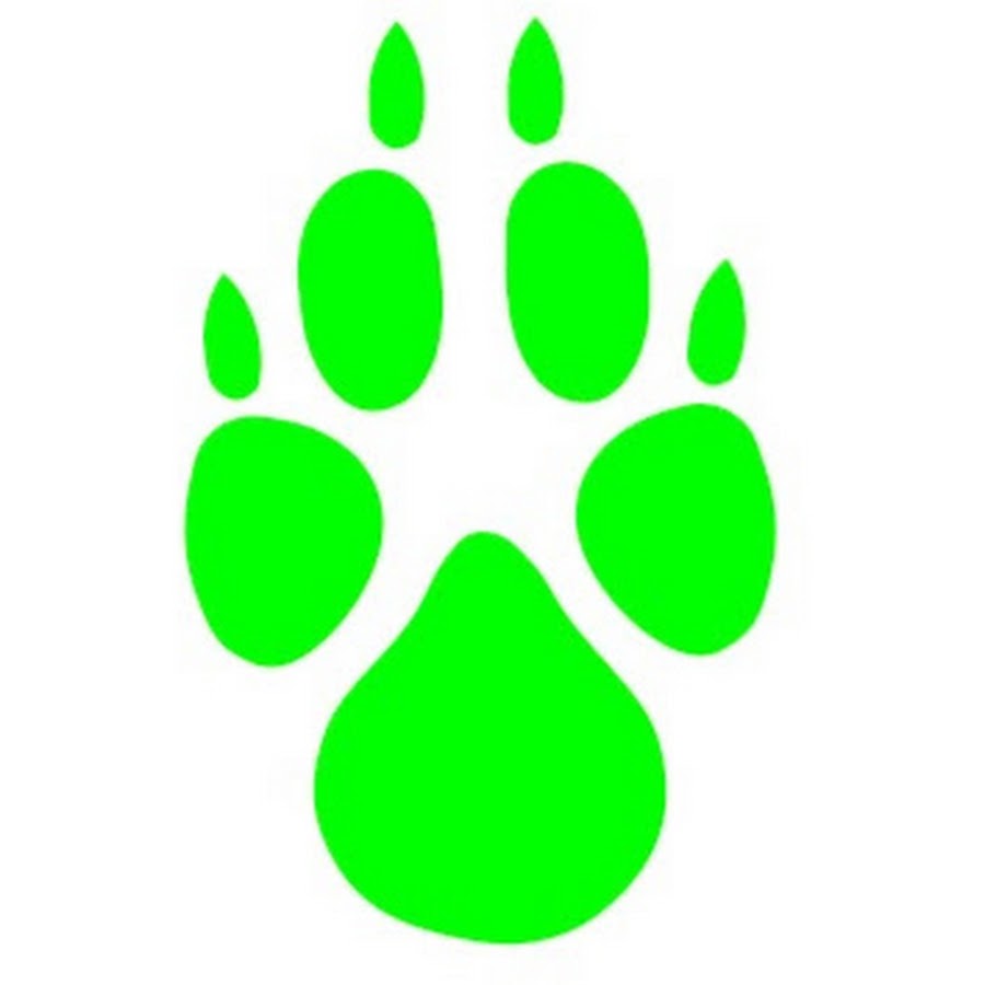 Foxtrail play with the city - YouTube