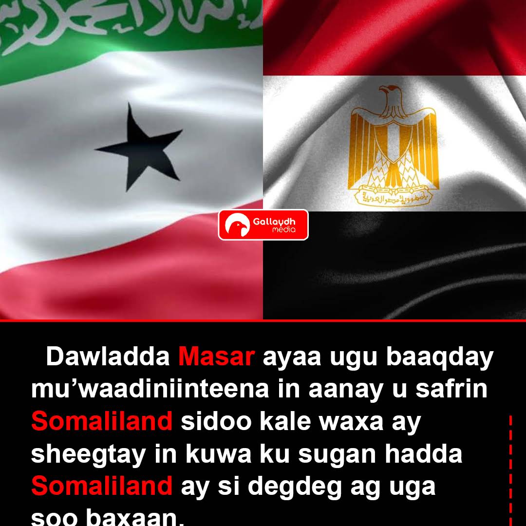 Post from Galaydh Media