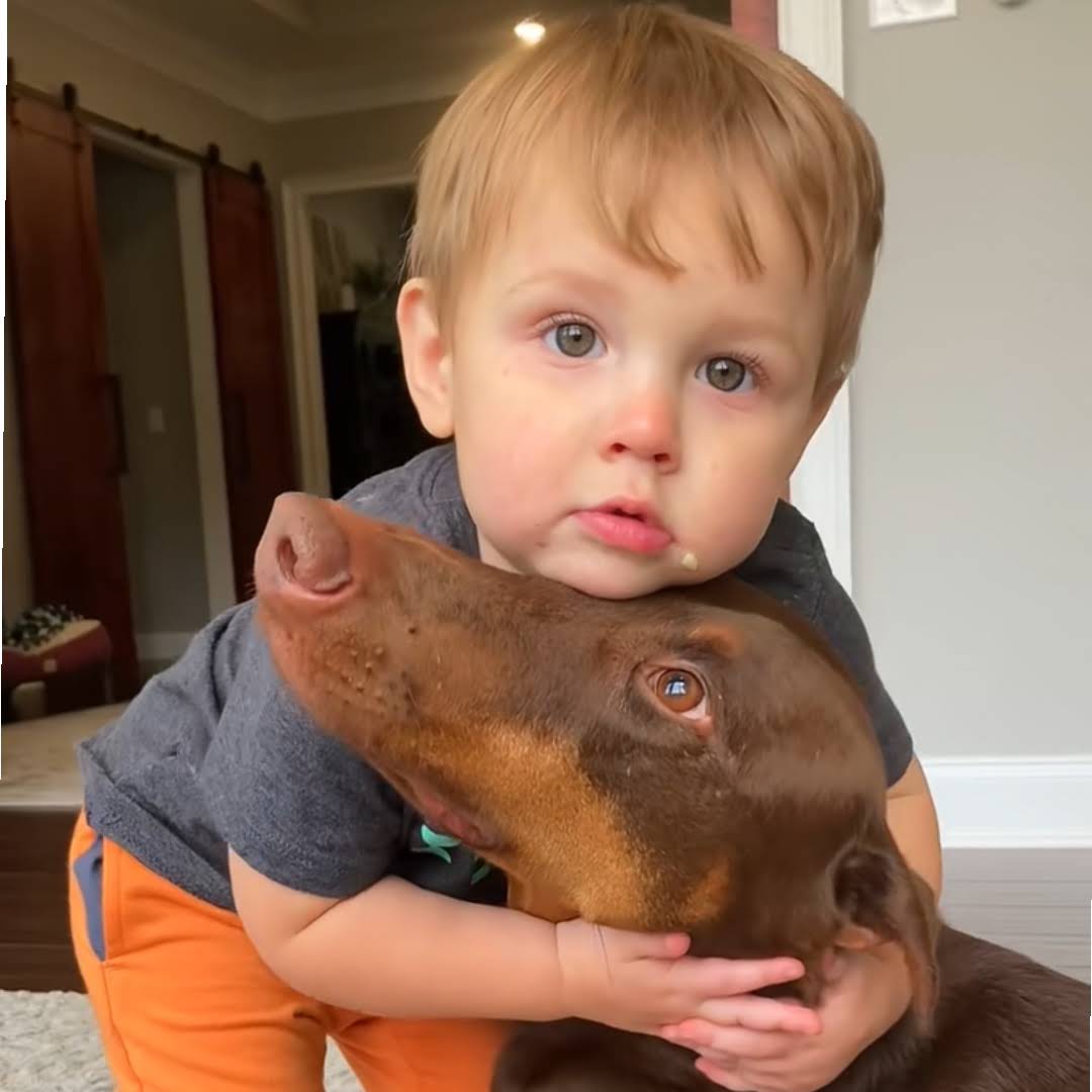 Post from Daily Joy Channel