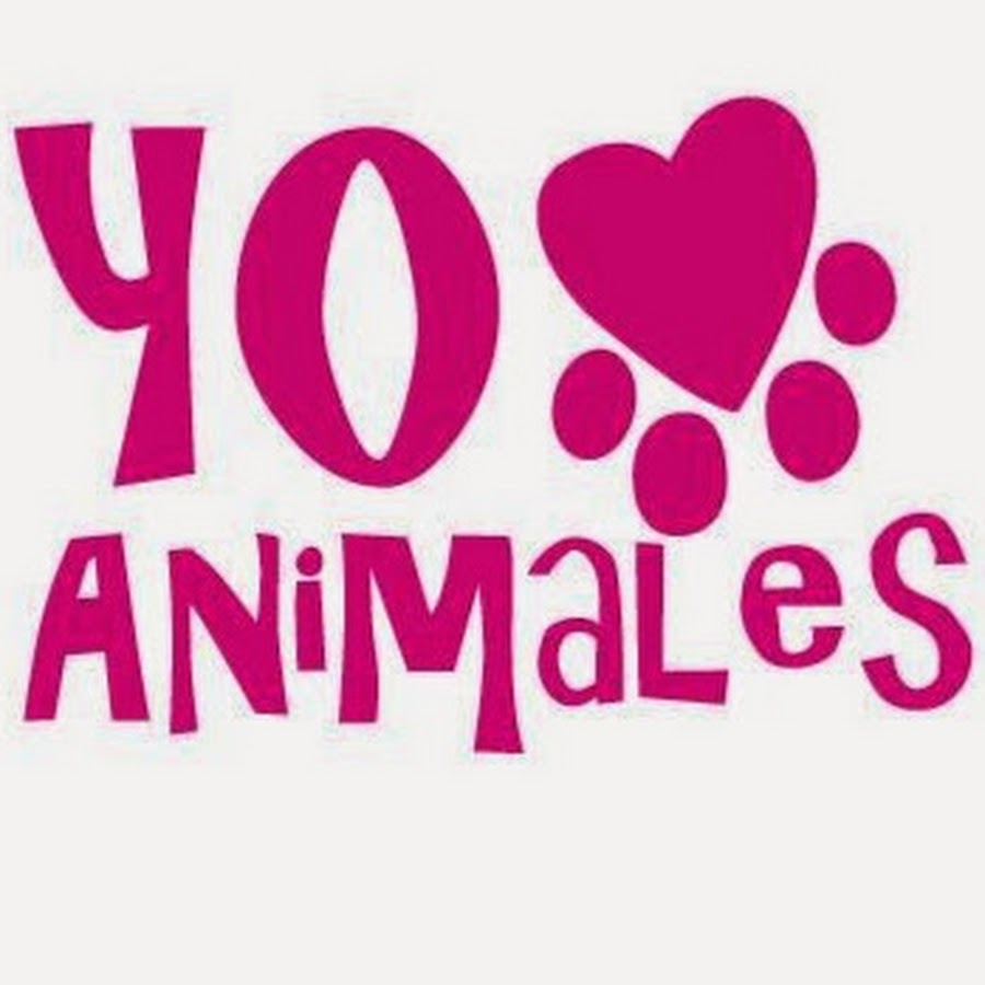 Yo amo animales - YouTube