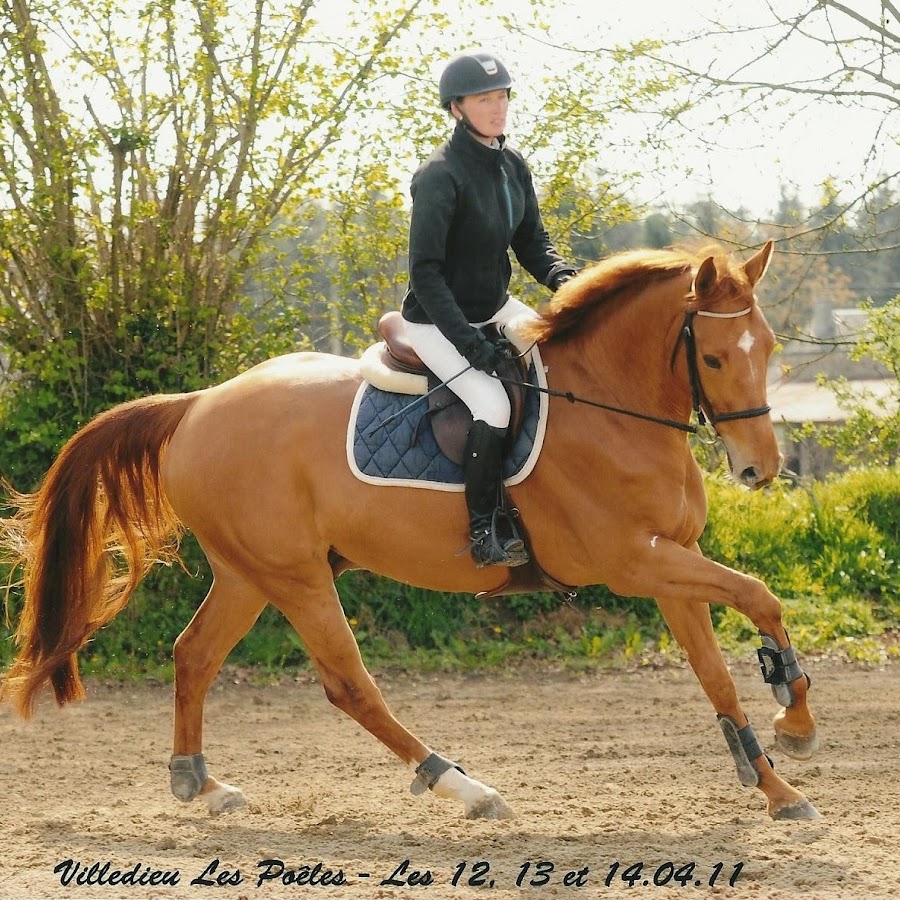 tiphaine joret - YouTube