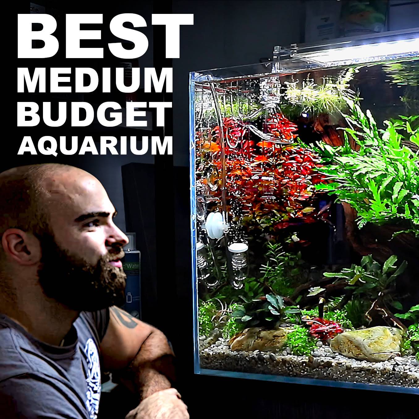@mdfishtanks | MD Fish Tanks | fishfam.link
