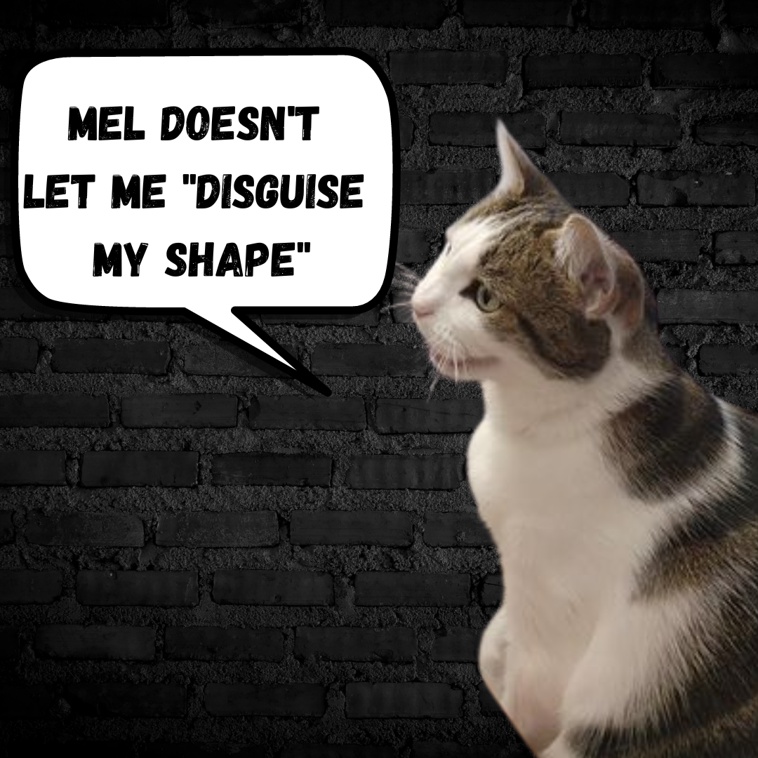 Post from The Body Honesty Project