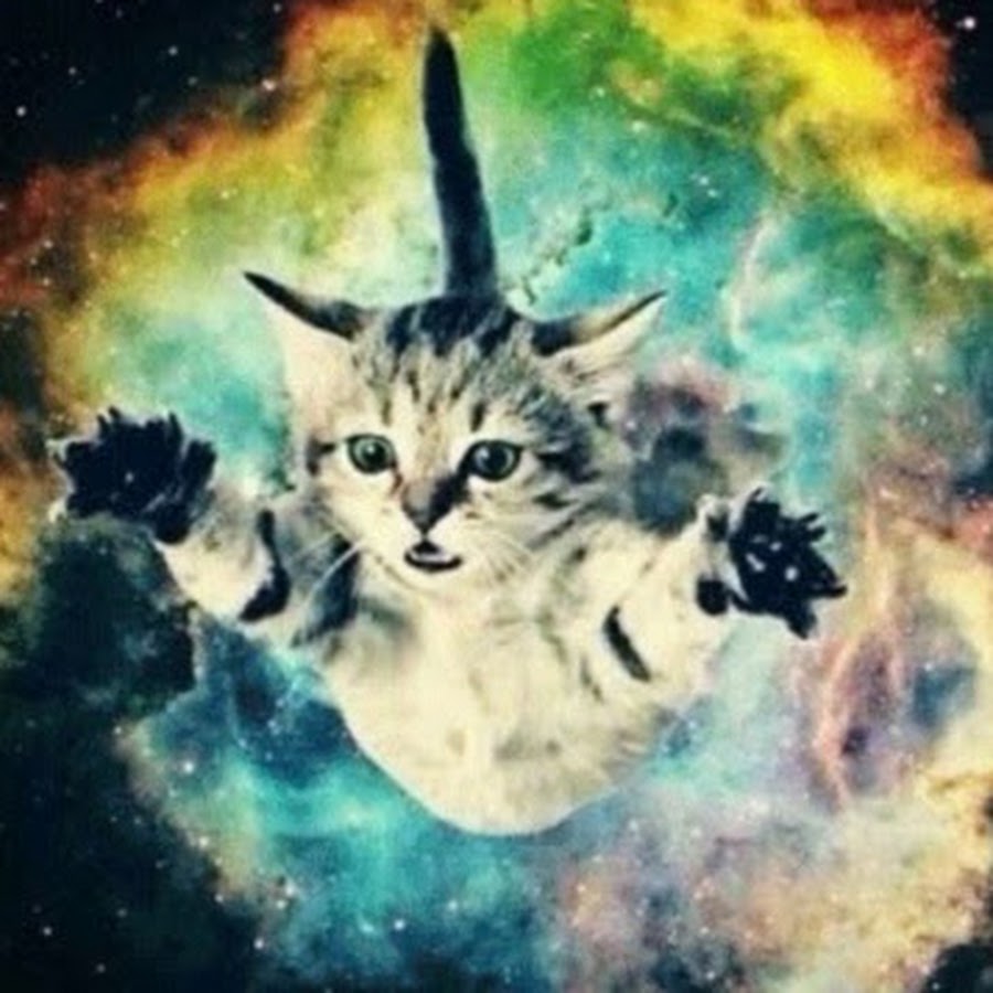 Cat Legendary - YouTube