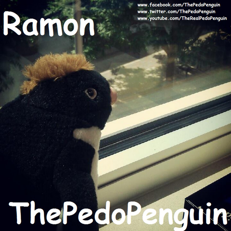 Ramon Penguin - YouTube