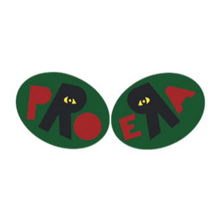 PRO ERA - YouTube