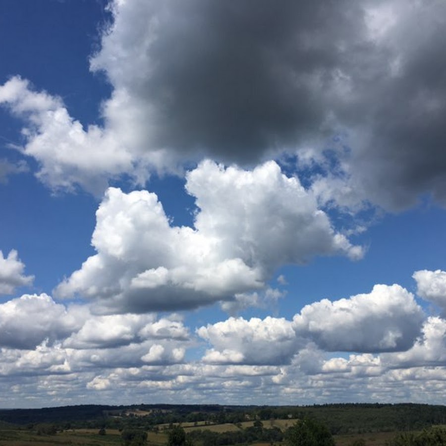 Polly Allen - YouTube