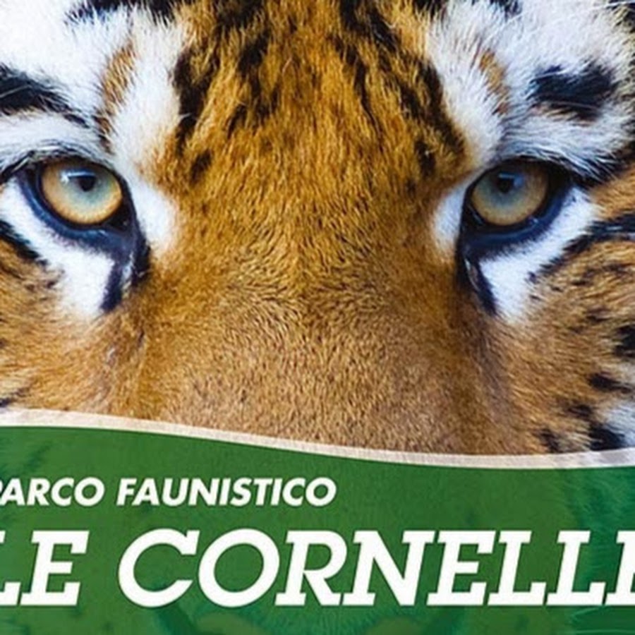 Parco Faunistico Le Cornelle - YouTube