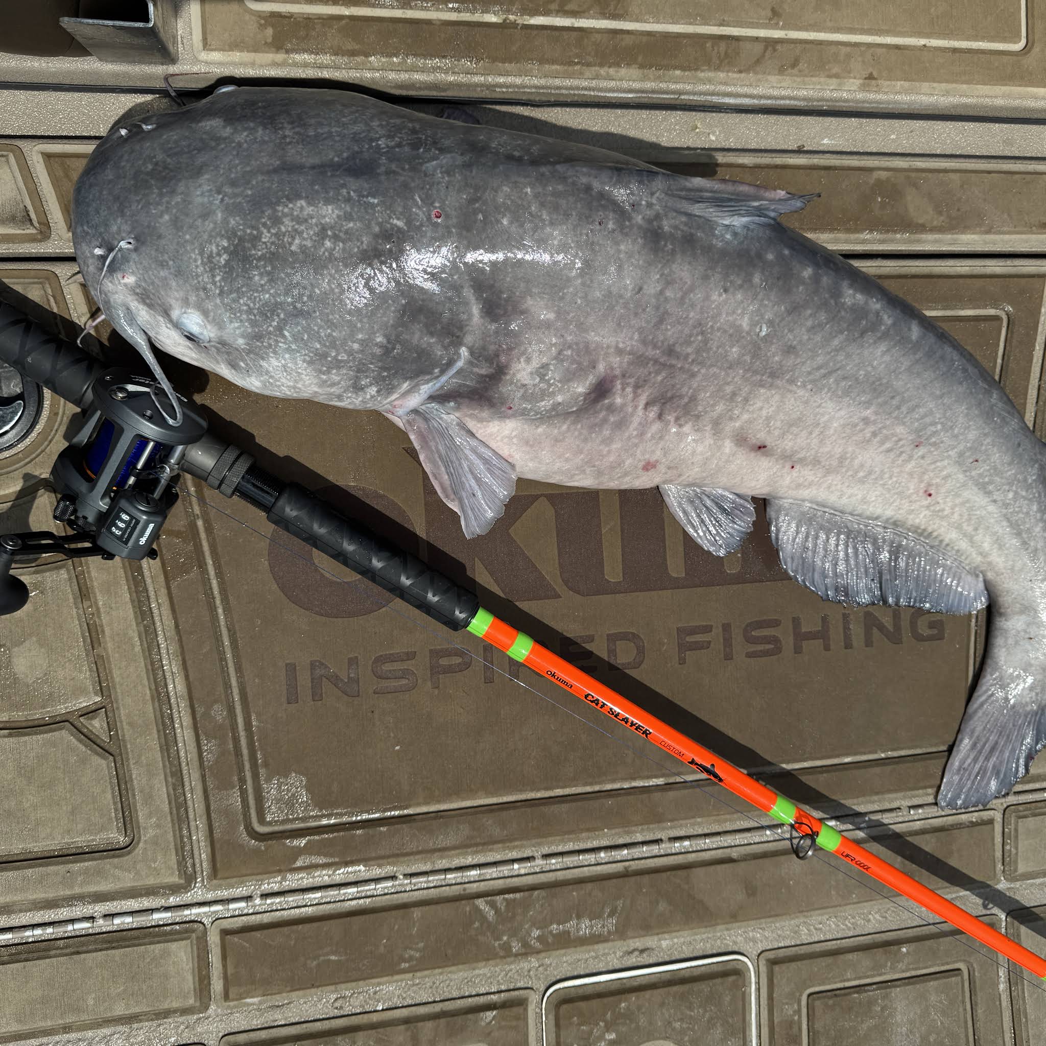 Post from Captain Billy