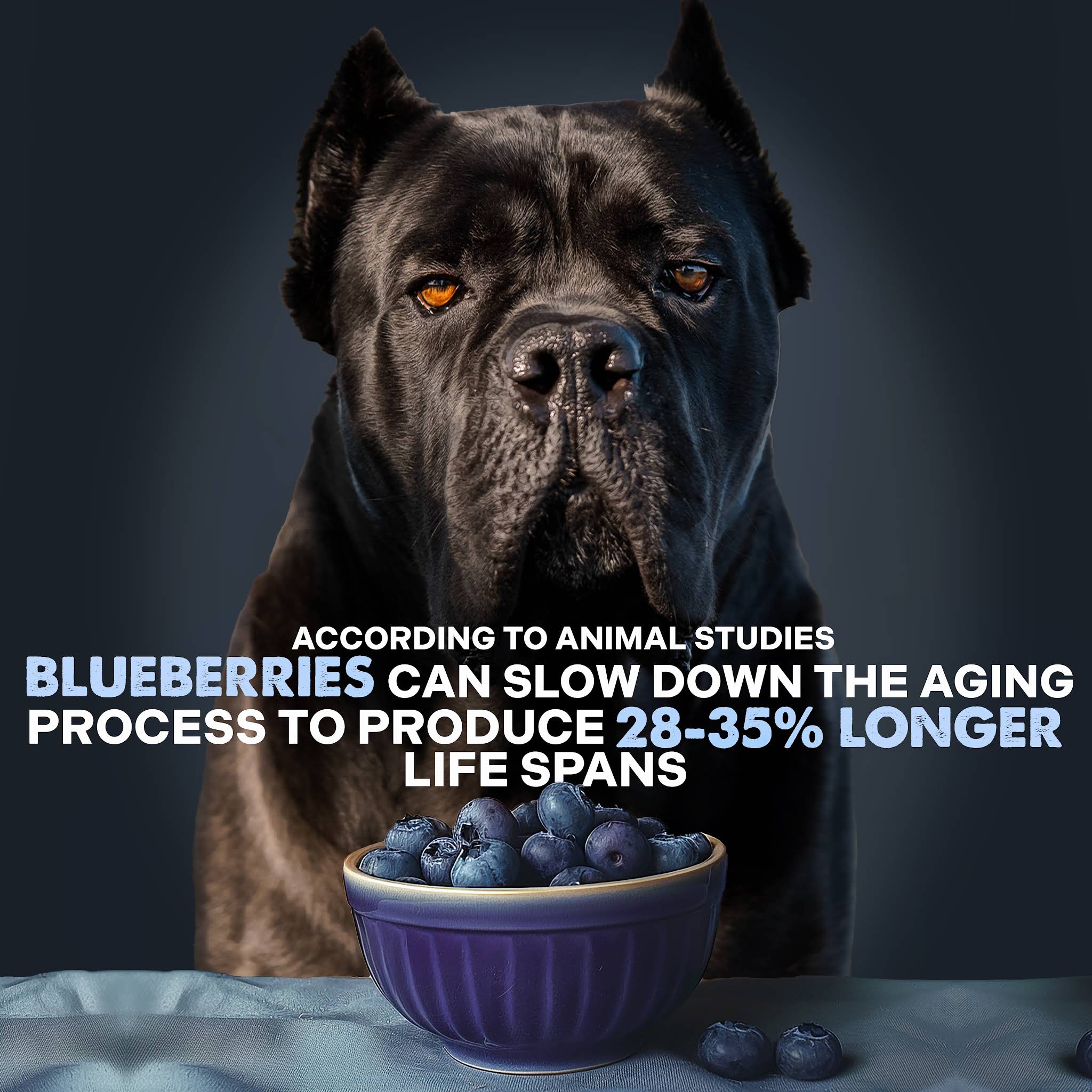 Post from Jason Corey