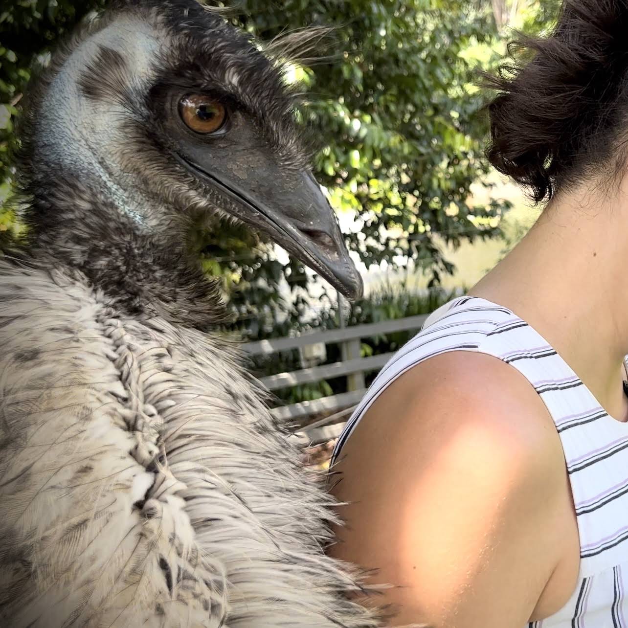 Post from a musing Aida