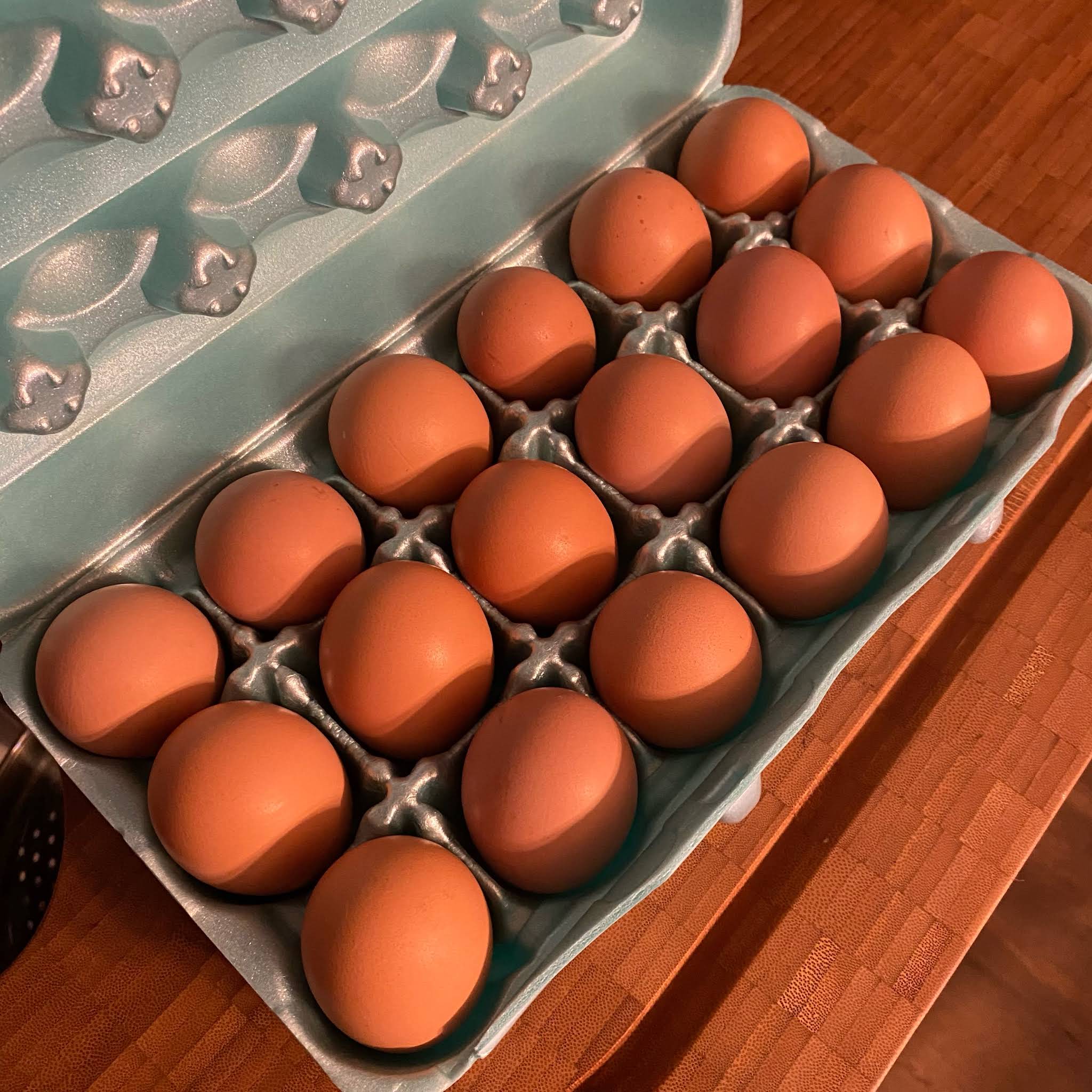 Post from Kaye Kittrell Late Bloomer