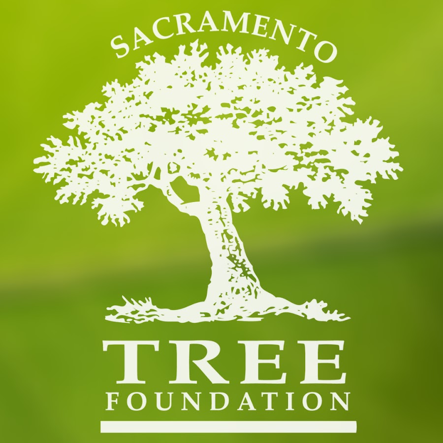 Sacramento Tree Foundation - YouTube