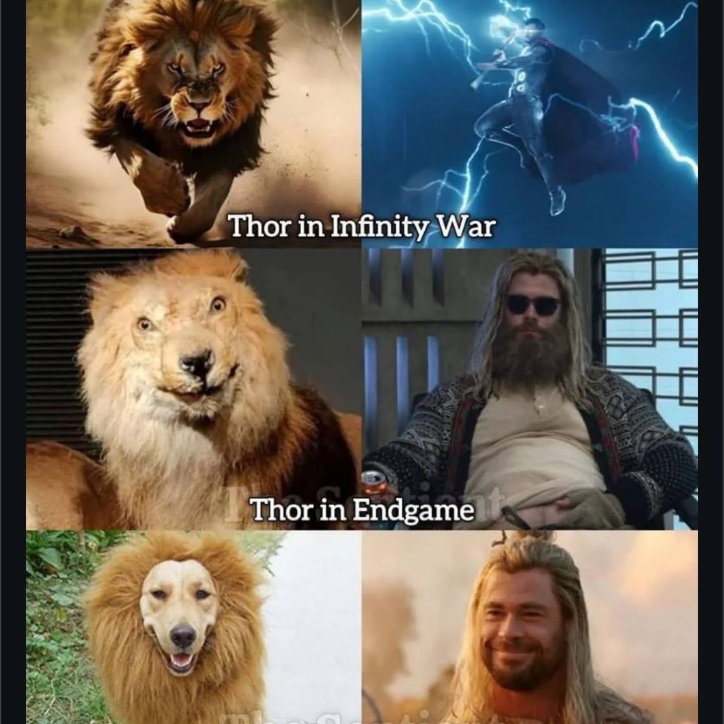 Post from Wham Bam Marvel