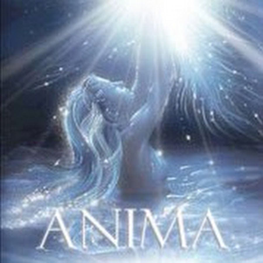 Anima Music - YouTube