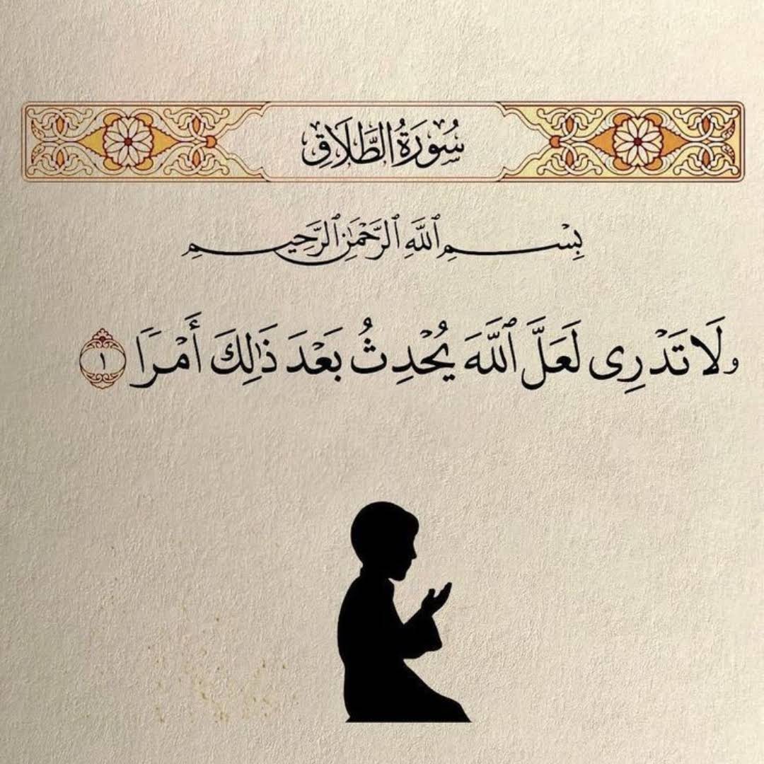 Post from Malak ismail