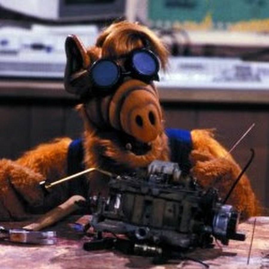 alf life - YouTube