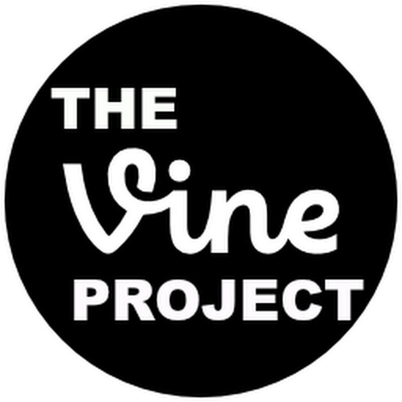 VINE PROJECT Net Worth & Earnings (2025)
