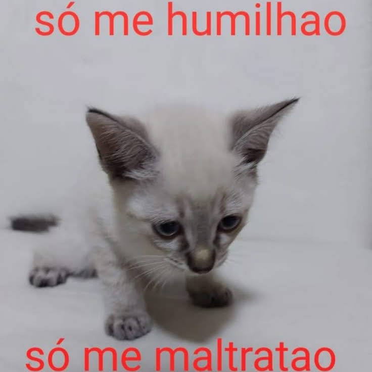 Post from Mattz - Manhwa Recap