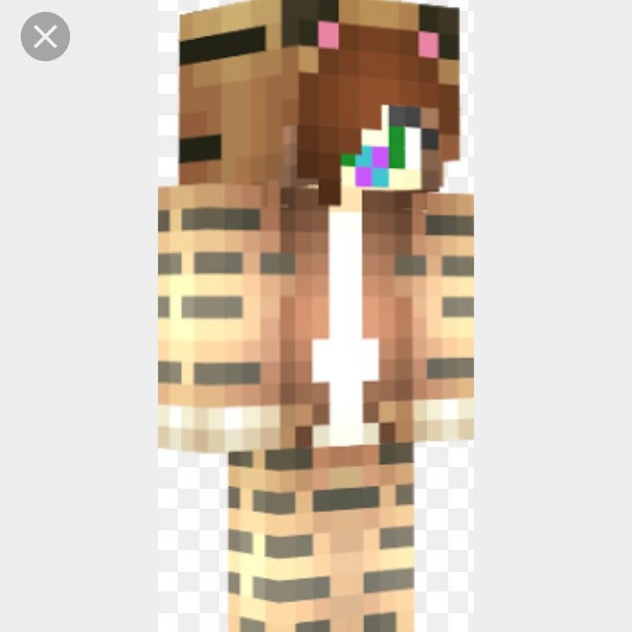 Tina The tiger - YouTube