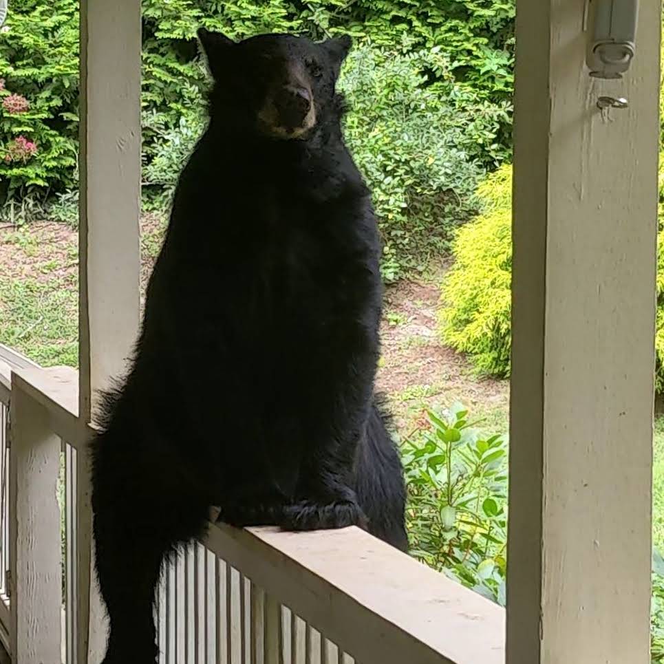 Post from Patrick Conley