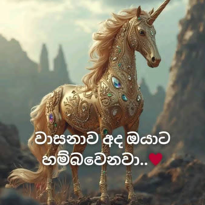 Post from Ayale 1111