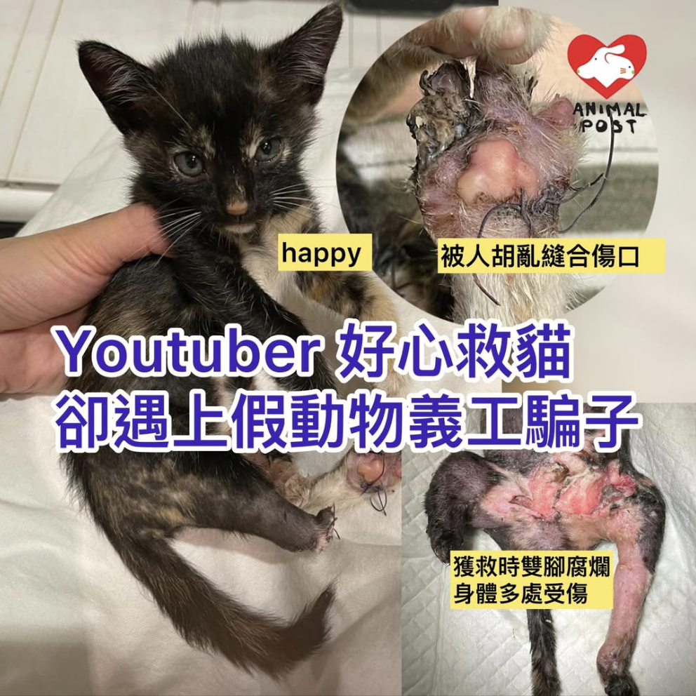 Post from MeloCat