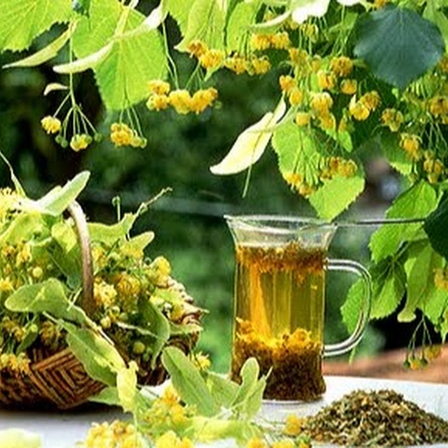 flori de tei - YouTube