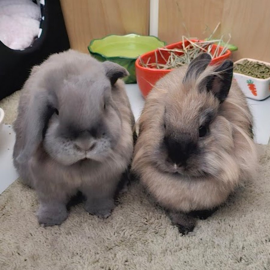 Janell Burns - YouTube