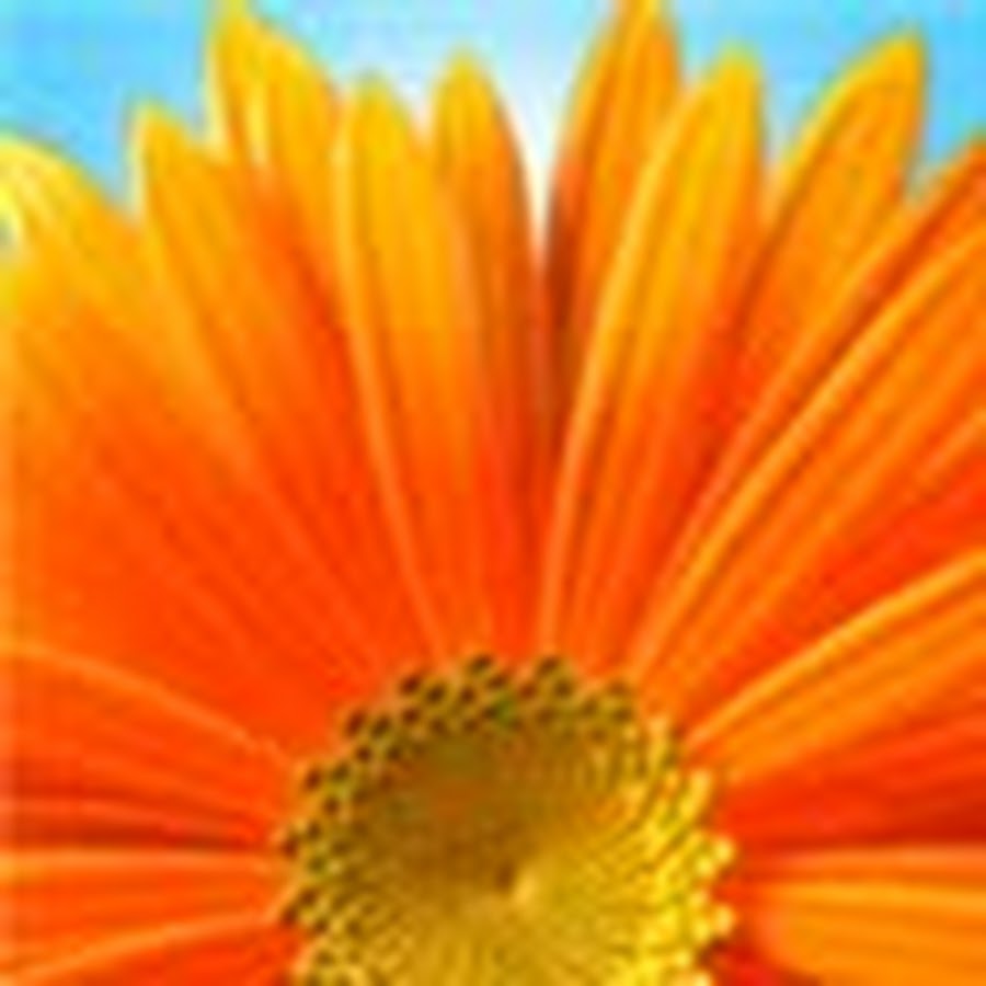 Albums 101+ Pictures Windows 7 Profile Pictures Stunning