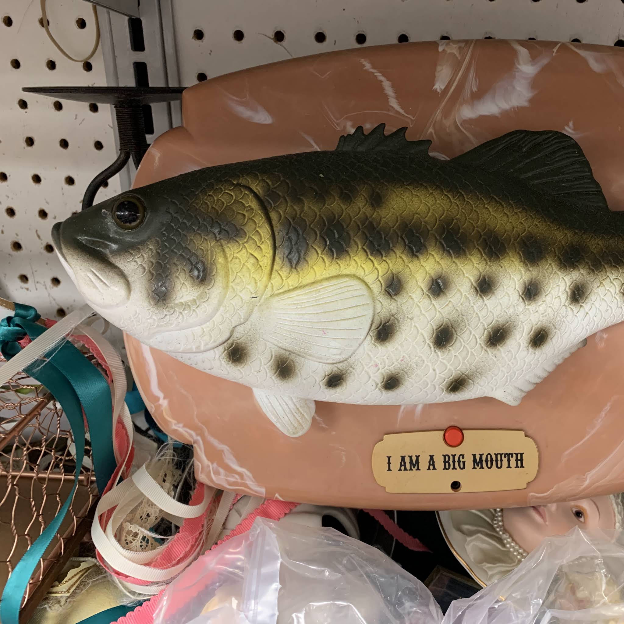 Post from With or Without Fur