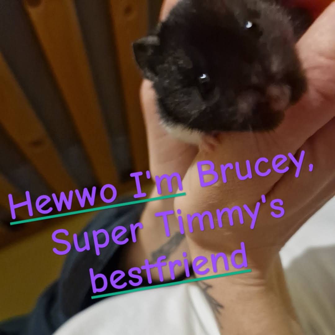 Post from Super Timmy